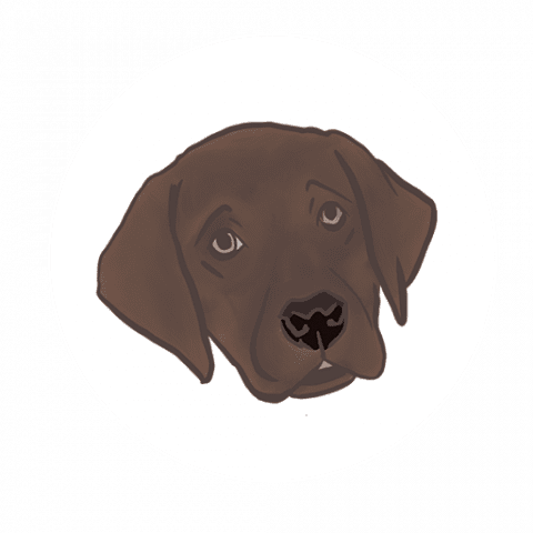 Commission | Snoot Doodler