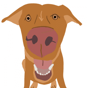 Commission | Snoot Doodler