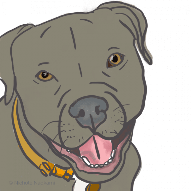 Commission | Snoot Doodler