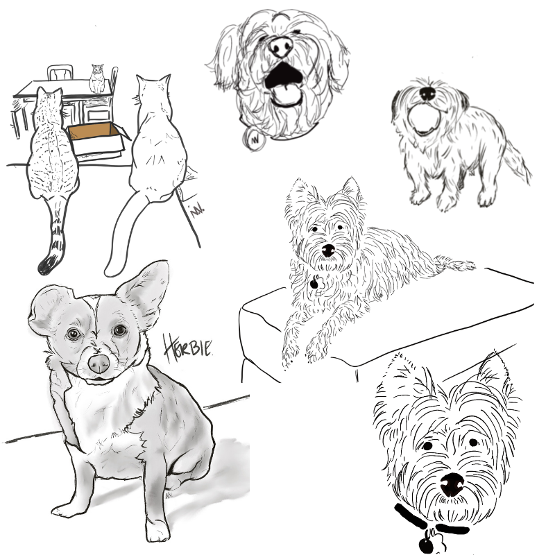 Commission | Snoot Doodler