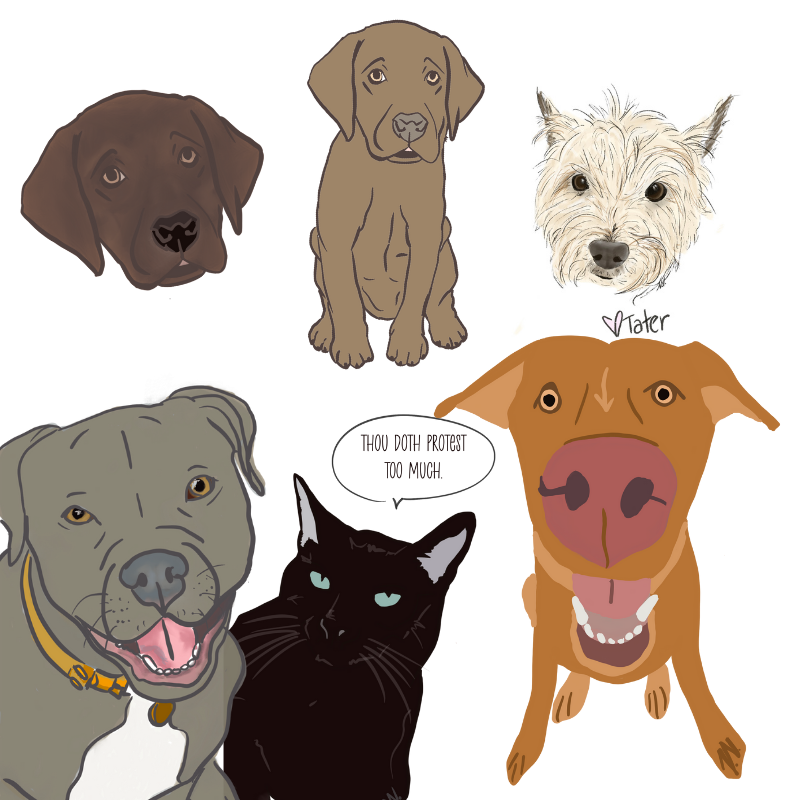 Commission | Snoot Doodler