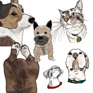 Commission | Snoot Doodler