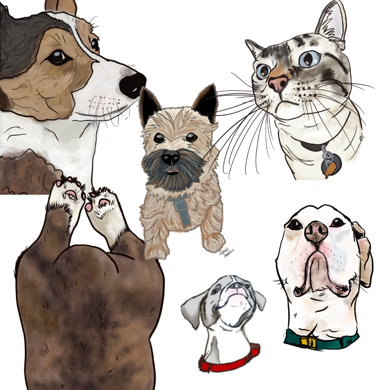 Commission | Snoot Doodler