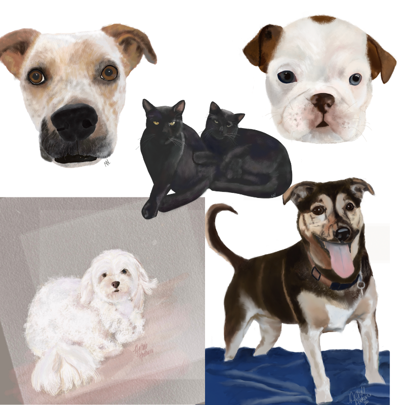 Commission | Snoot Doodler