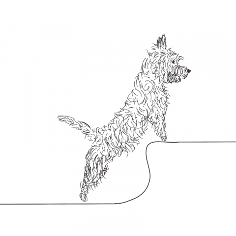 Commission | Snoot Doodler